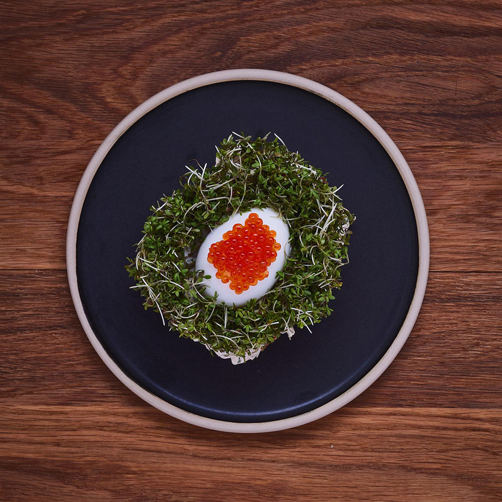 BEST RESTAURANTS IN REYKJAVÍK | HIDDEN ICELAND